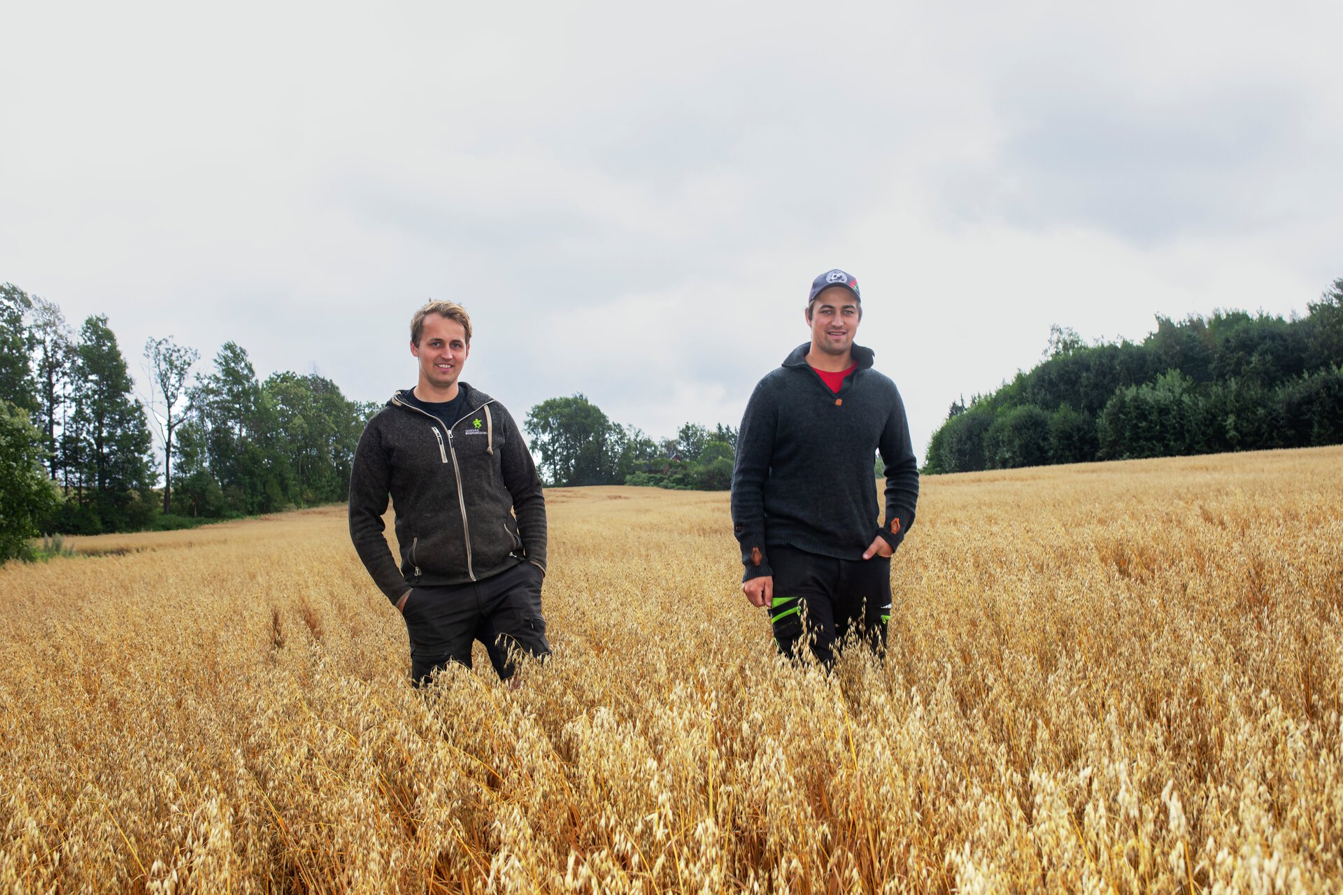 Kornbrødrene i Ås med blikket mot fremtiden • Temaside • Brodogkorn.no