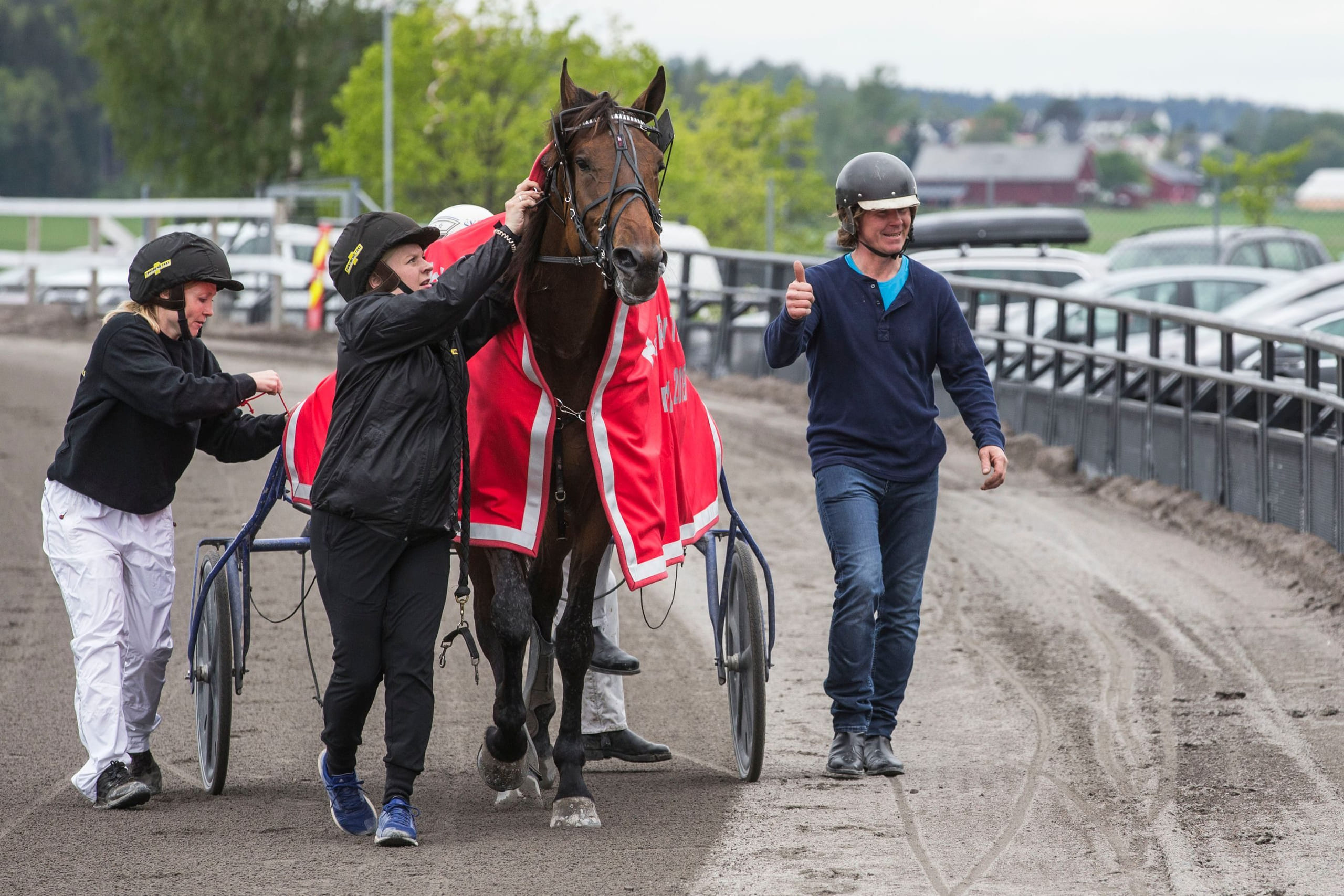 Custom Colt + Jos Verbeeck kan bli sant - TGN