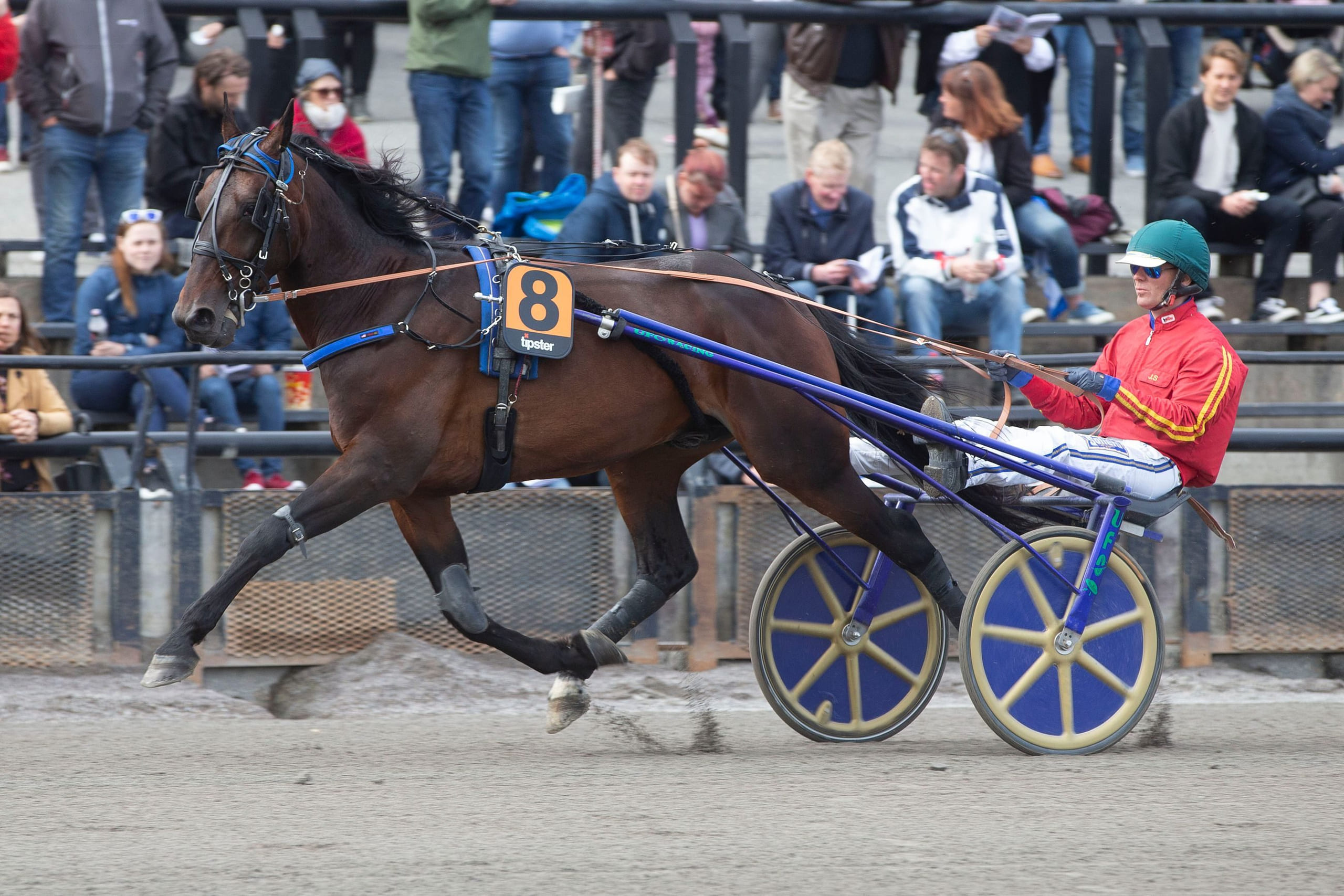 Axel Jensen-vinneren gjorde comeback med seier på 10,1 - TGN