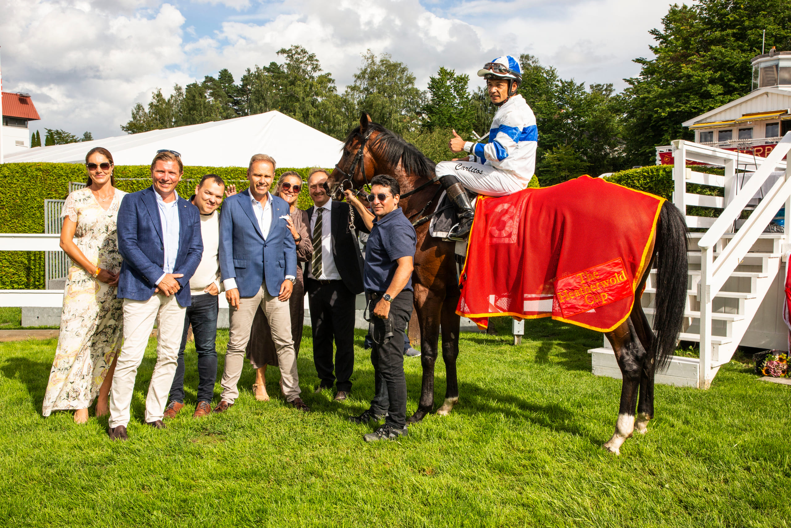 Sender to hester til Bahrain i Midtøsten - TGN