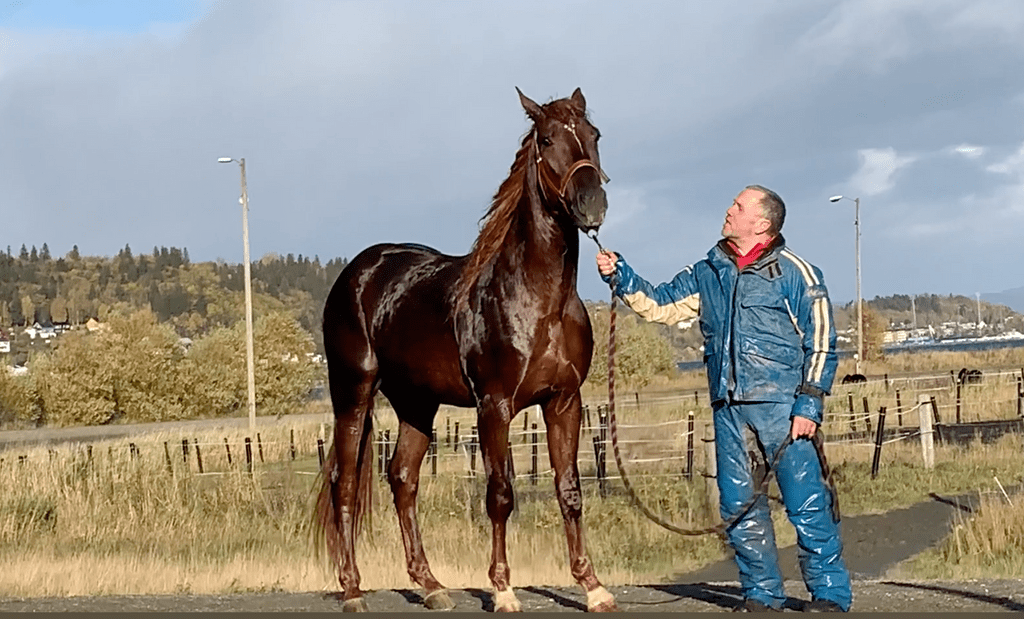 Jan Lyng med nok et stort, rødt Maharajah-talent - TGN