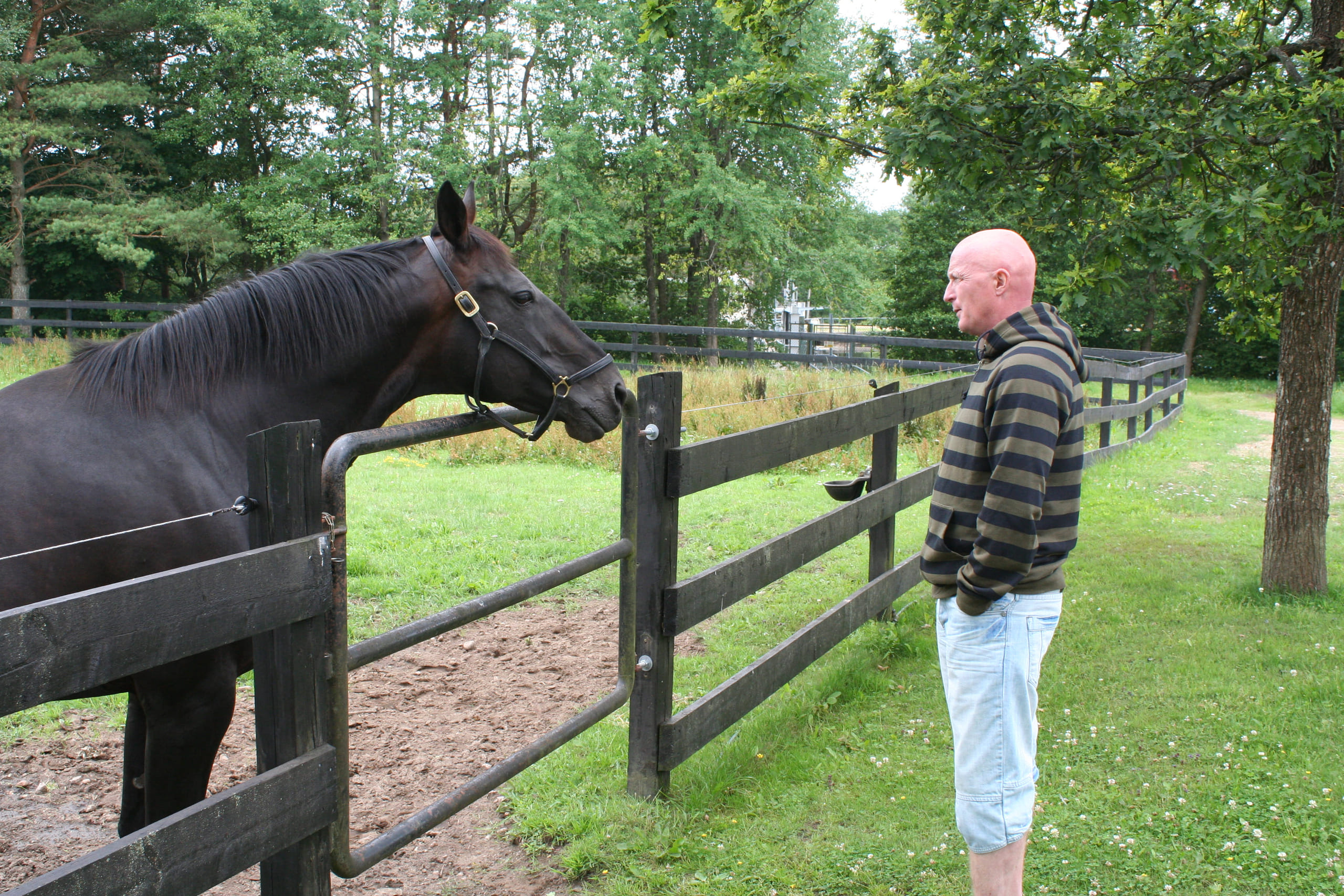 Hvorfor skjer det ikke noe i Propulsion-saken? - TGN