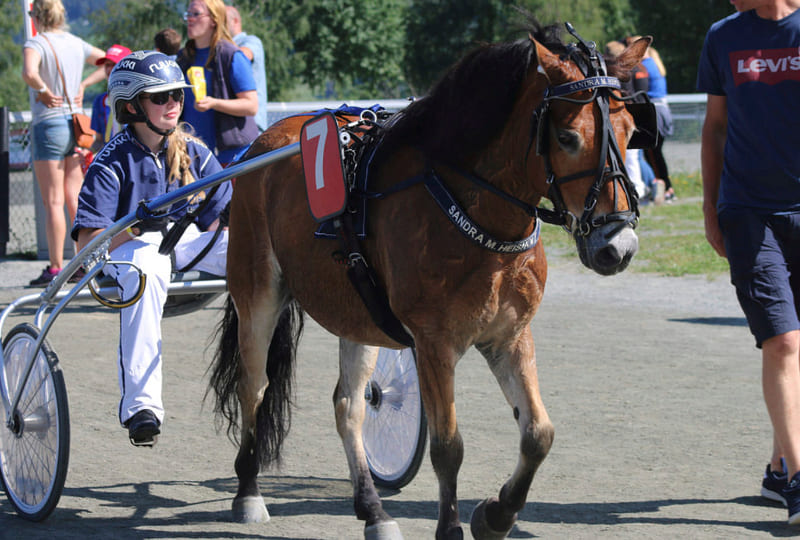 Disse representerer Norge i Nordisk Mesterskap i Finland - TGN