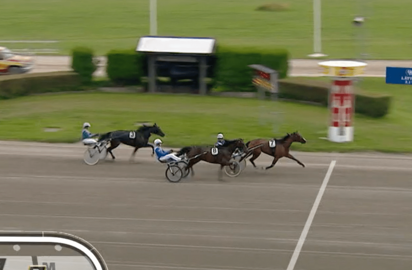 Dobbeltseier til Diana L Olsson - TGN