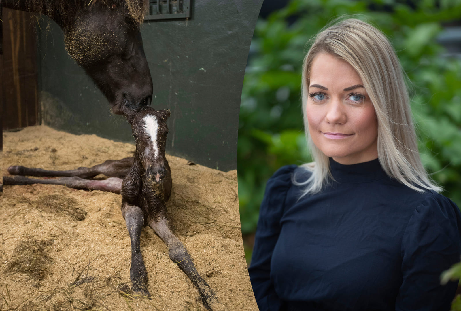 Dette er planen for møte med statsråd Sandra Borch - TGN