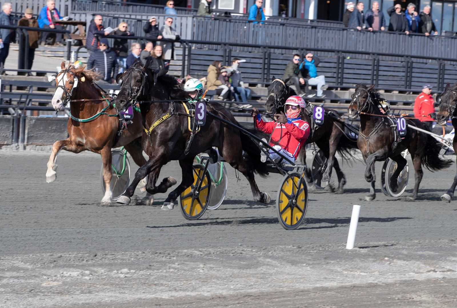 Galopp for Grisle Odin GL - TGN