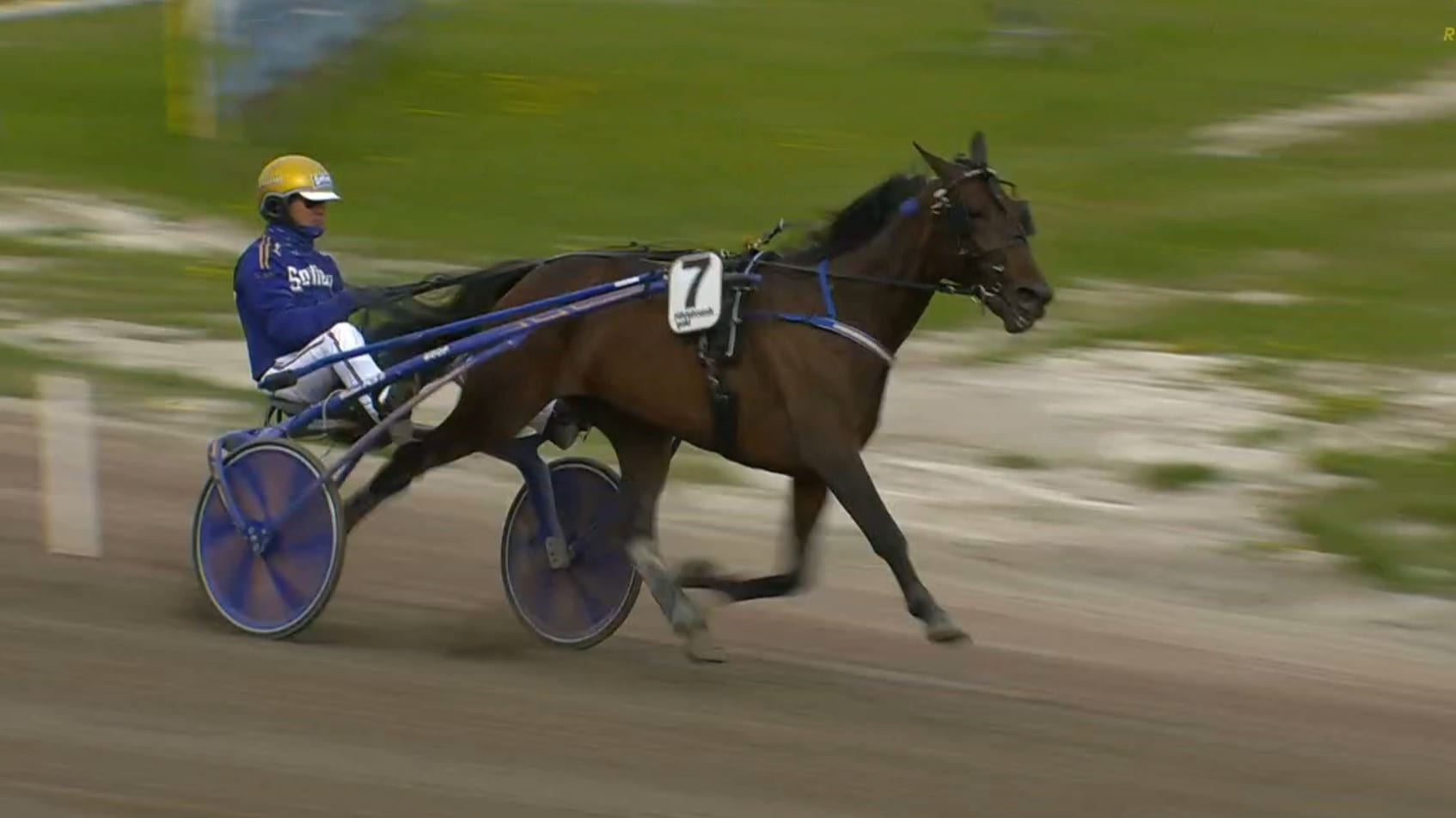 Sam The Man ledet fra start til mål - TGN