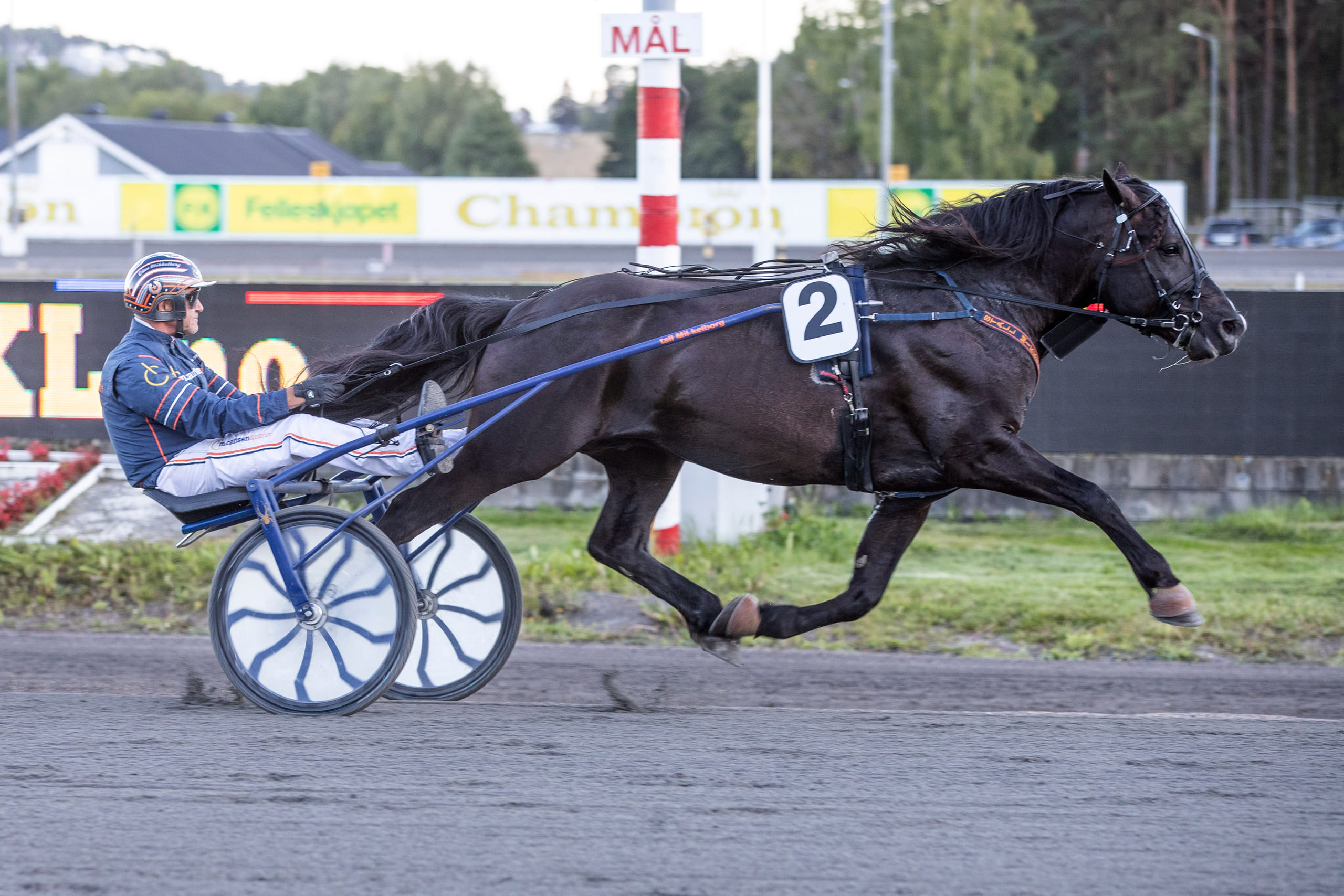 Han er noe spesielt denne hesten - TGN