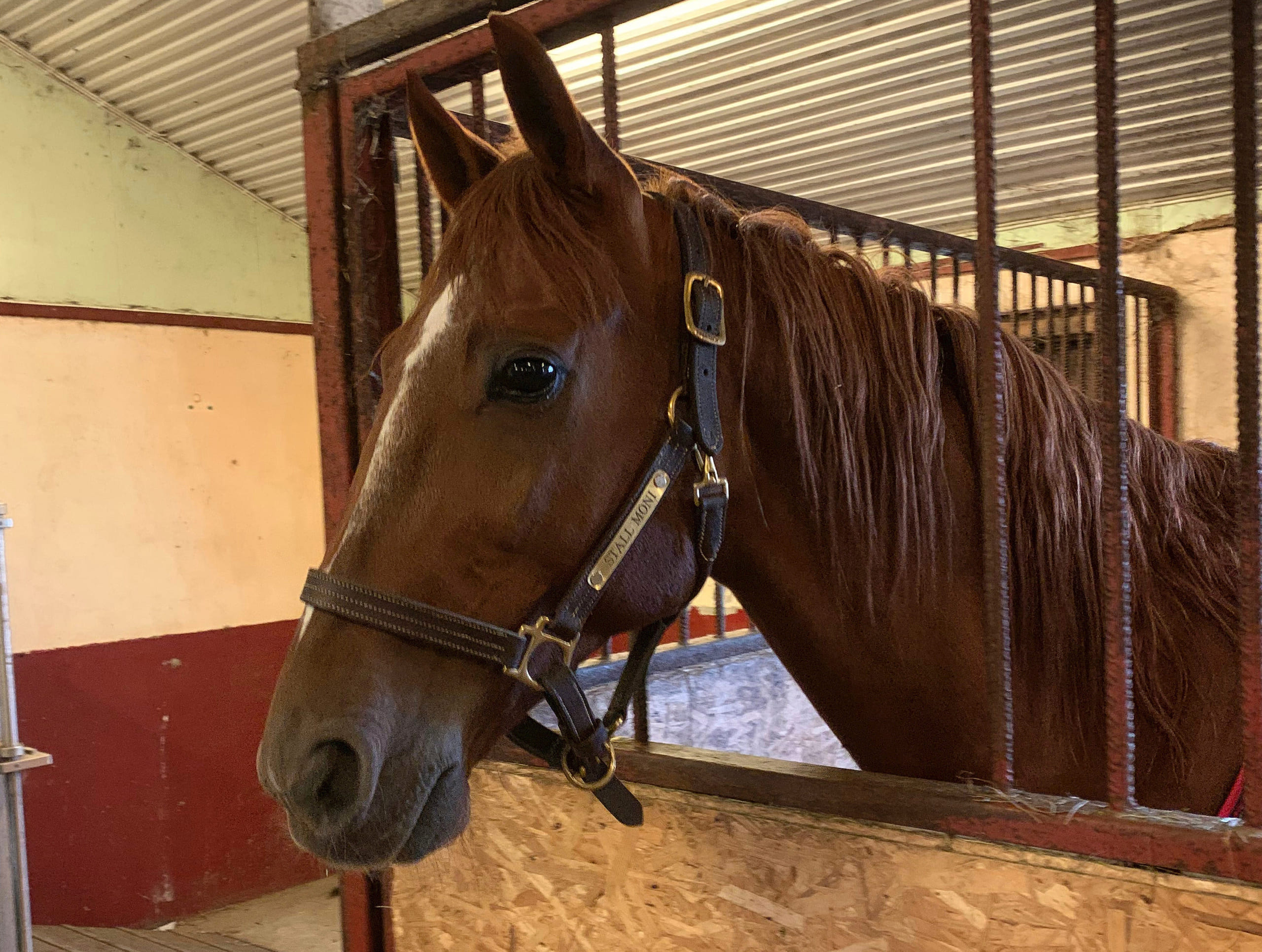 Dette er planen for superstjernen neste år - TGN