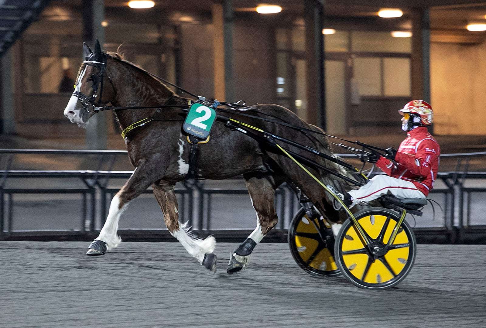 Absolutt en av mine favoritthester - TGN