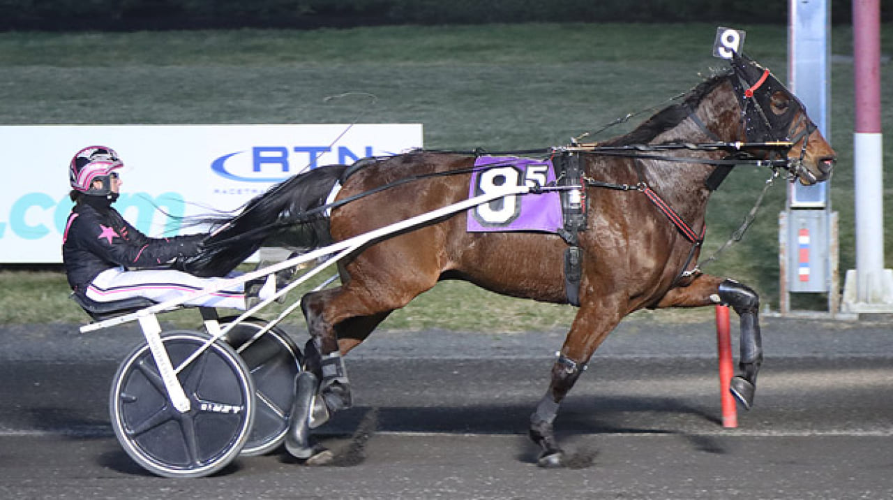 Traver fra Irland gjør suksess i USA - TGN