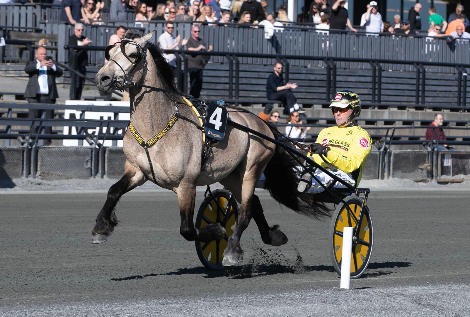 Dette er en potensiell elitehest på toppnivå - TGN