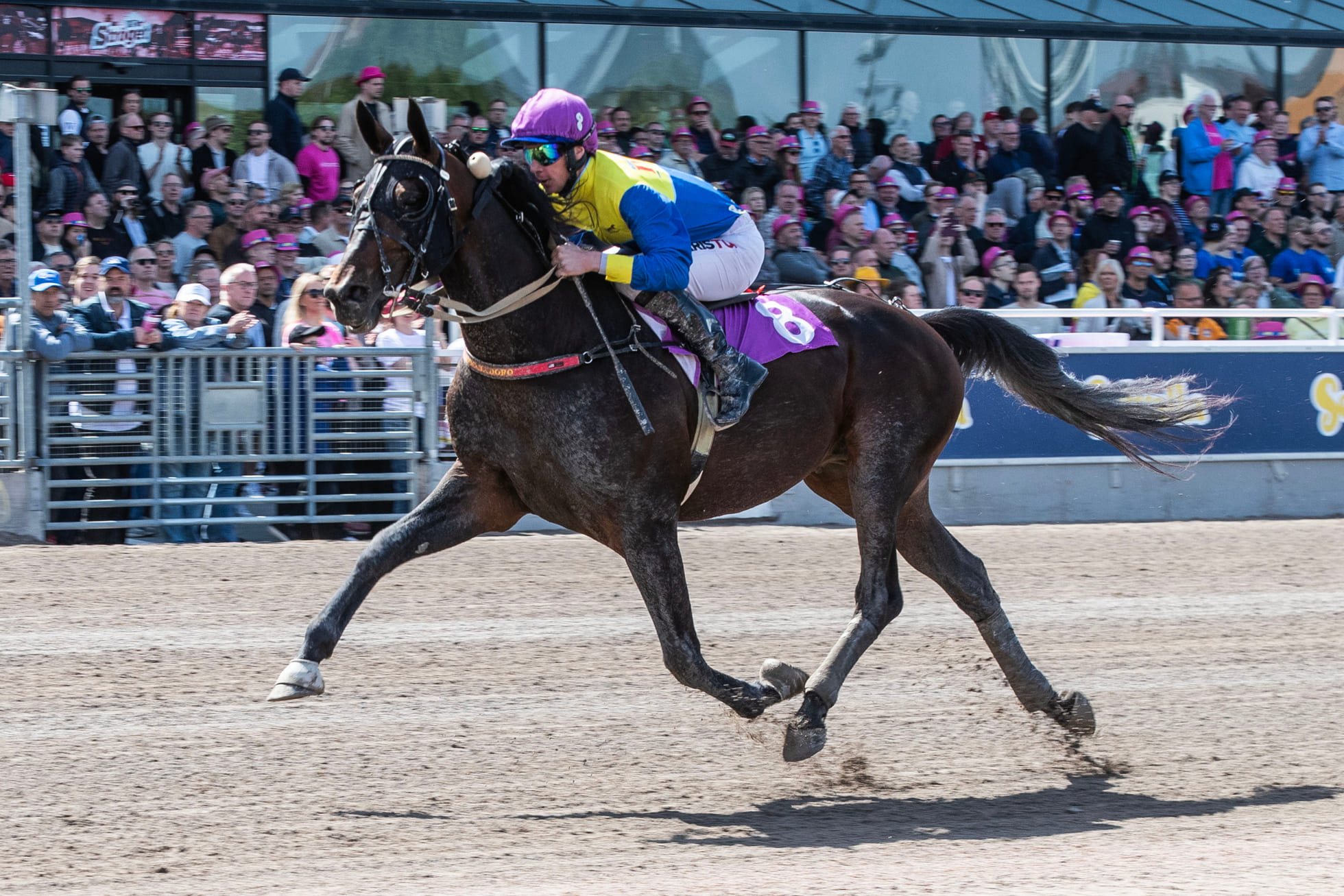 Galopp for både Kolle og Herleiksplass - TGN