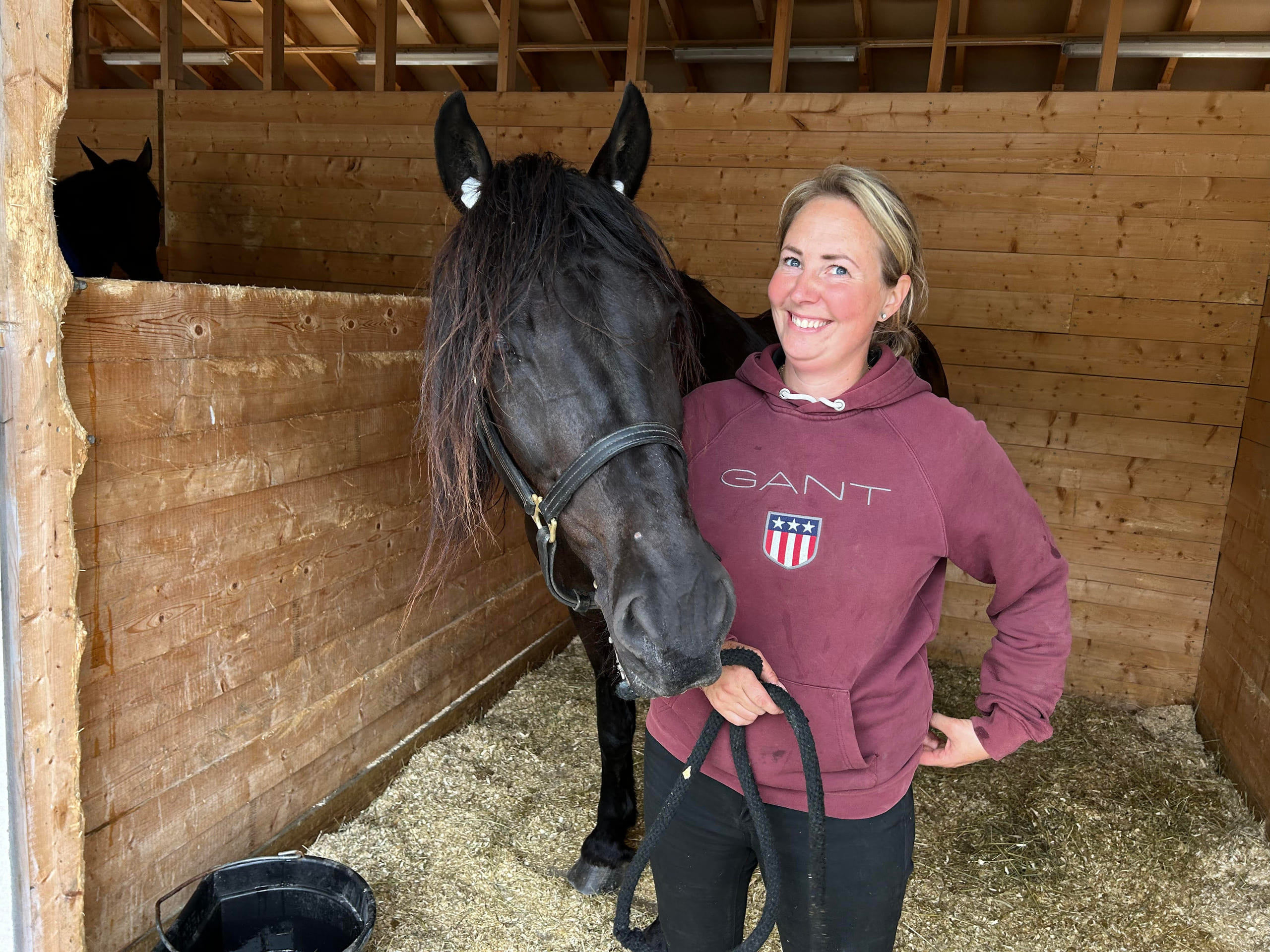 Jeg trives godt i Harstad og det virker det som hestene mine gjør også - TGN