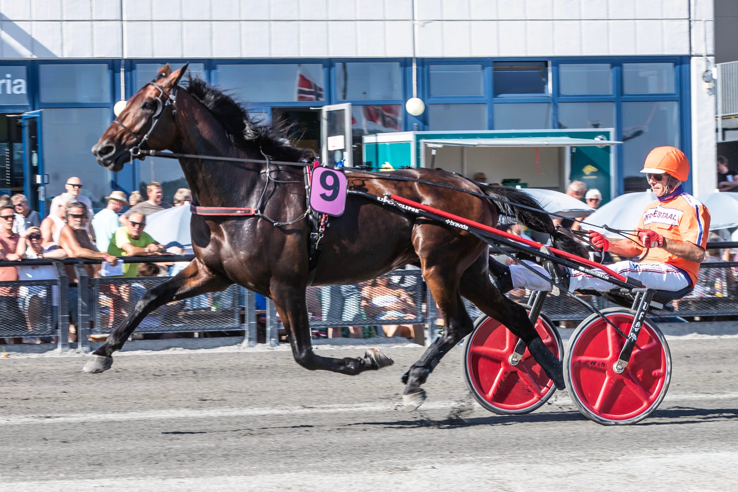 Derfor døde Falcon Eye - TGN