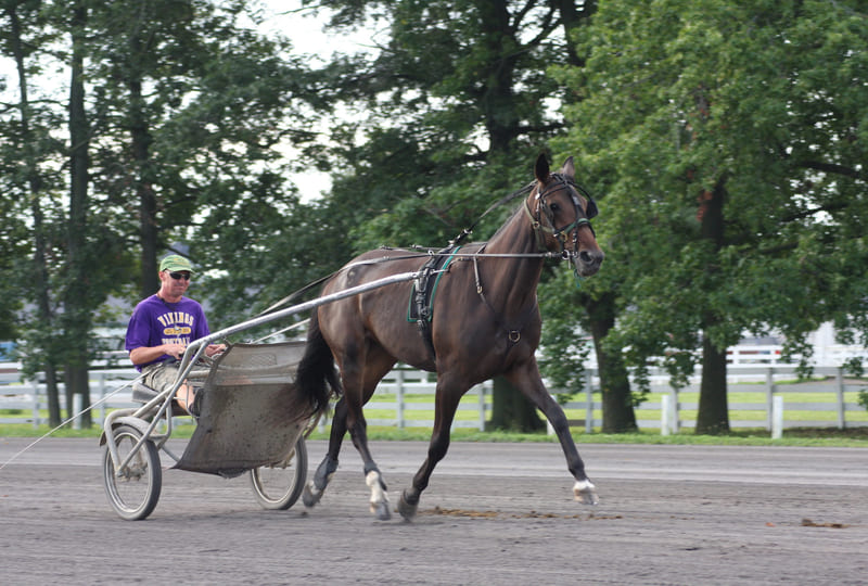Skål for stammen til Moet - TGN