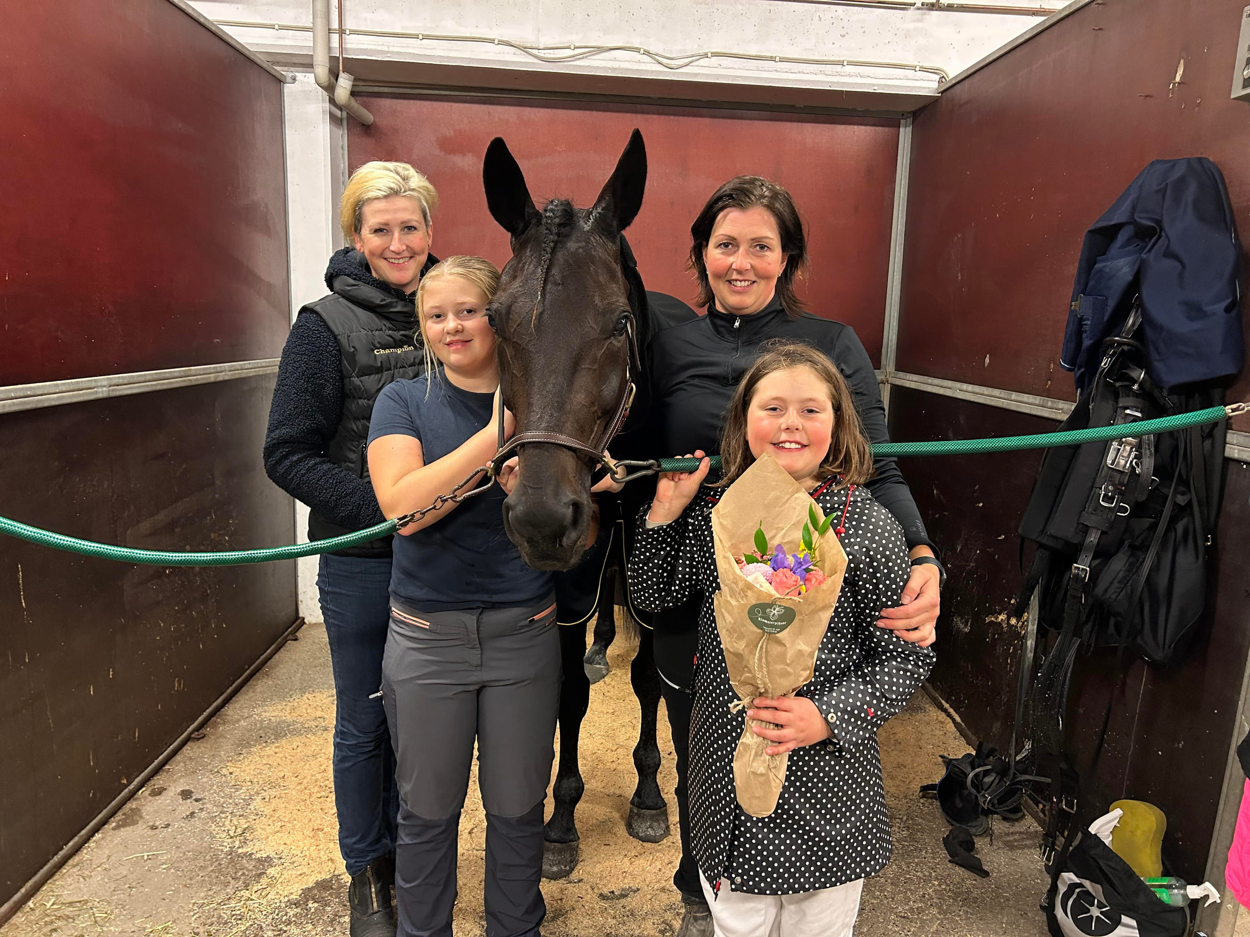 Norske hester kan bli mester i Årjäng - TGN