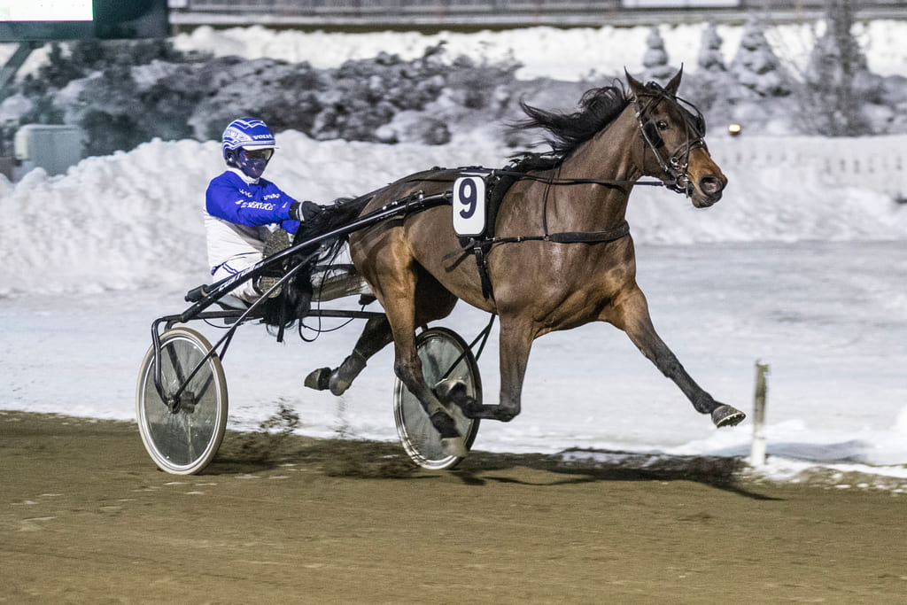 Formtoppet 4-åring og ubeseiret 3-åring - TGN