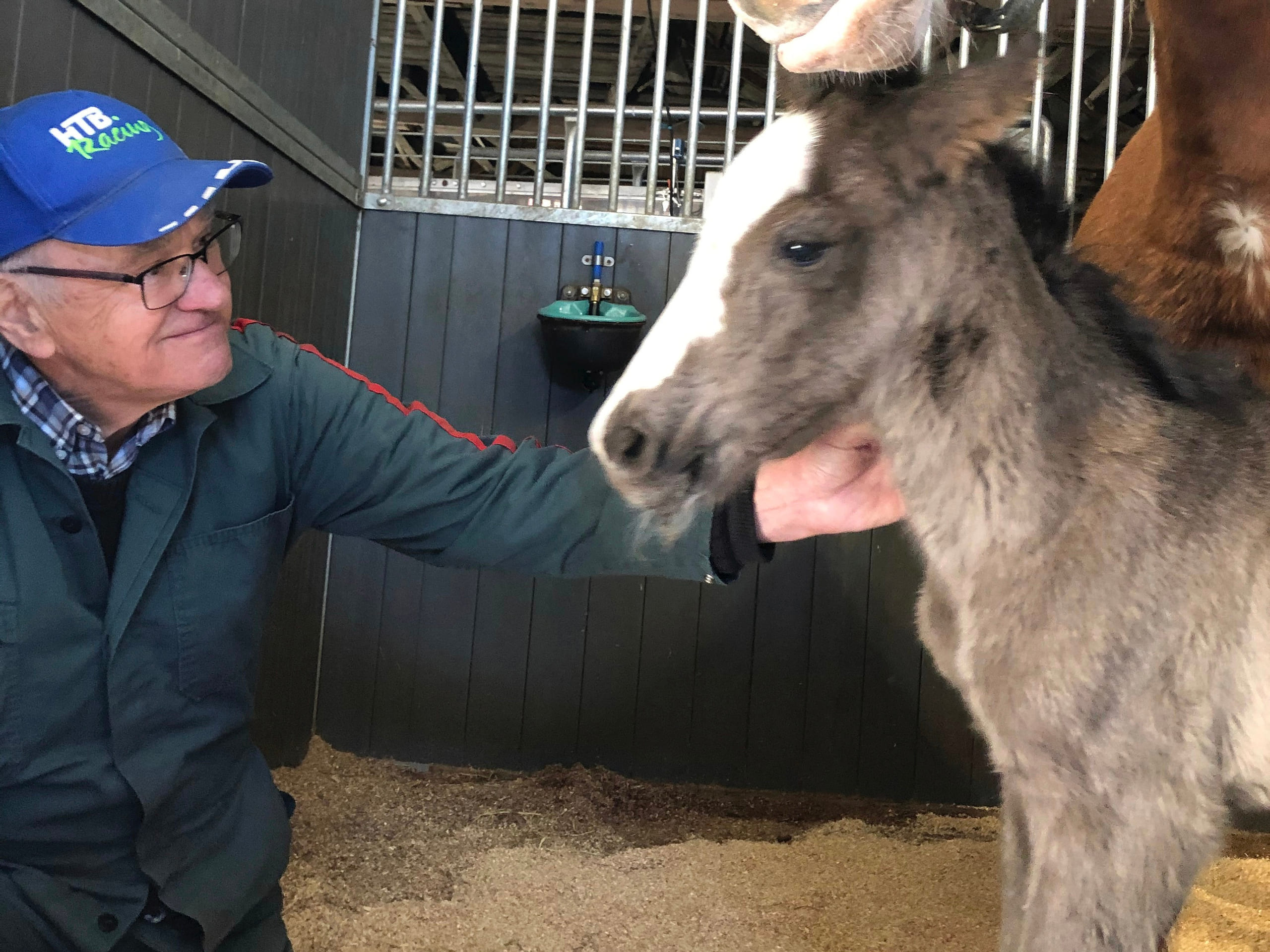 Ola Rustad: – Å miste en hest er alltid trist - TGN