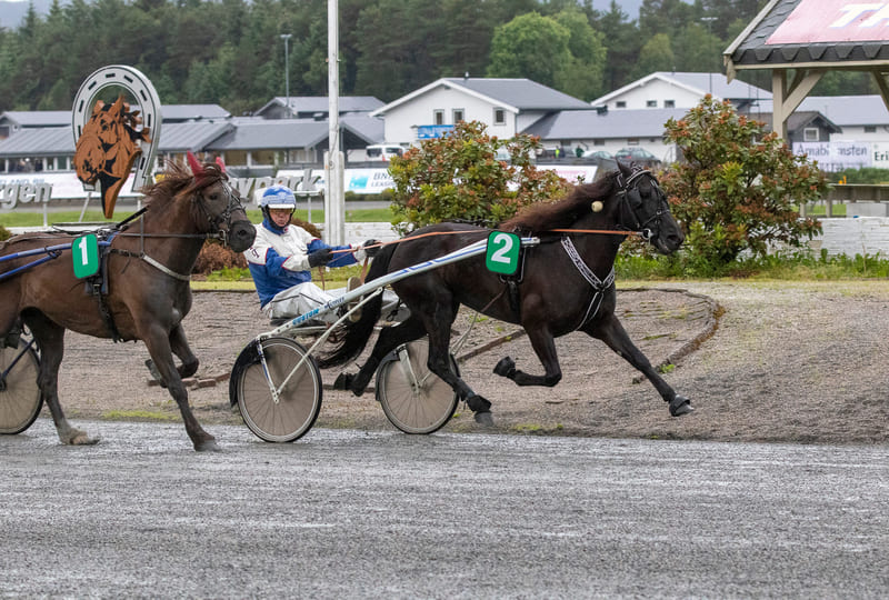 Tre hester fra samme stall ga tre seirer - TGN