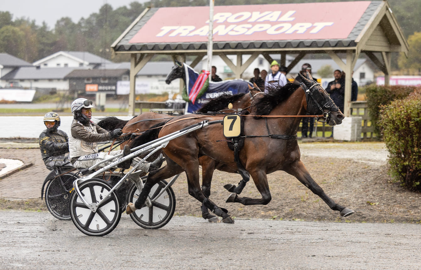 TGN - Trav og Galopp-Nytt